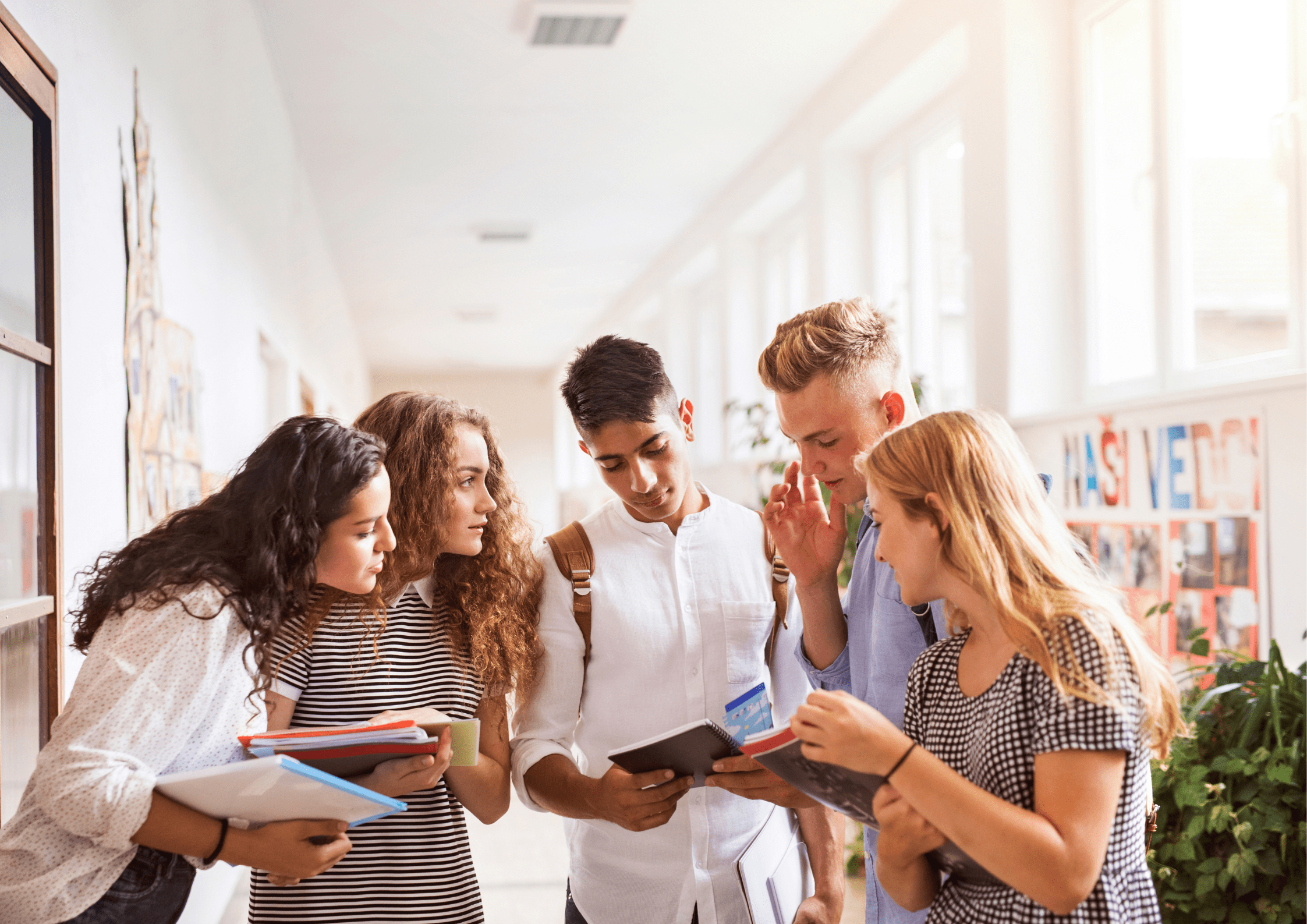 PORTES OUVERTES IMEA